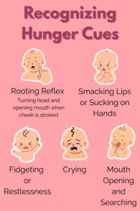 Newborn Feeding: Build the Perfect Schedule & Learn Baby Hunger Cues