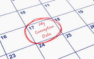 Reverse Due Date Calculator | Find Your Conception Date