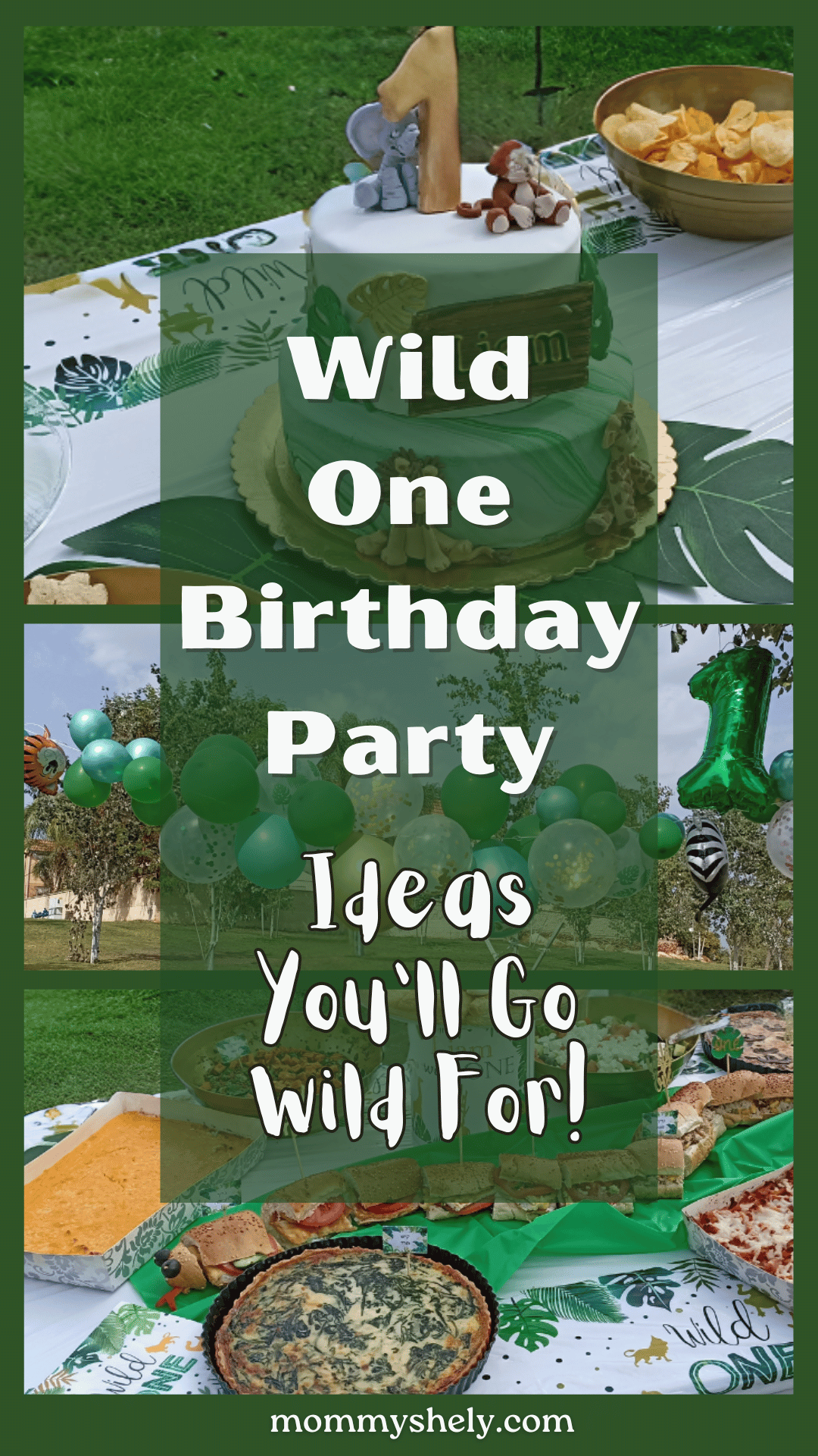 Wild One Birthday Theme for Our Baby Boy’s First Birthday Party