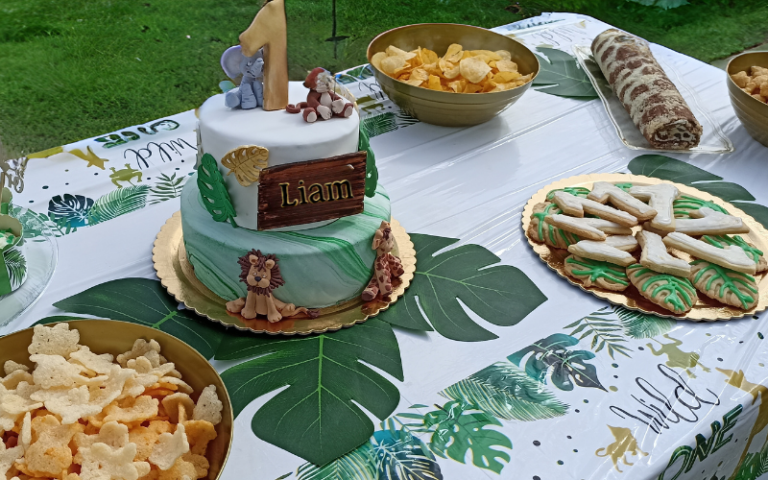 Wild One Birthday Theme for Our Baby Boy’s First Birthday Party